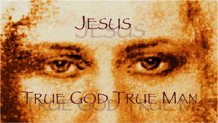 Jesus, True God True Man – THE NERDY THEOLOGIAN